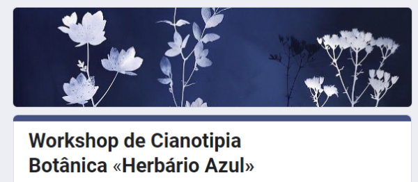 Workshop de Cianotipia Botânica «Herbário Azul»